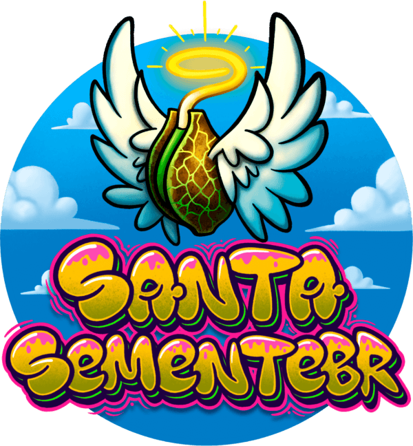 Santa Semente BR - KingSeeds