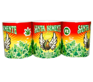 Santa Semente BR - KingSeeds